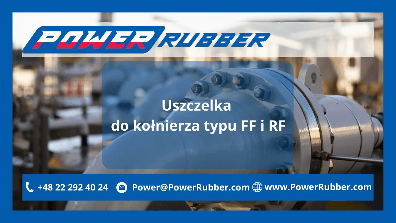 Gasket for FF and RF Flanges - Differences - Power Rubber